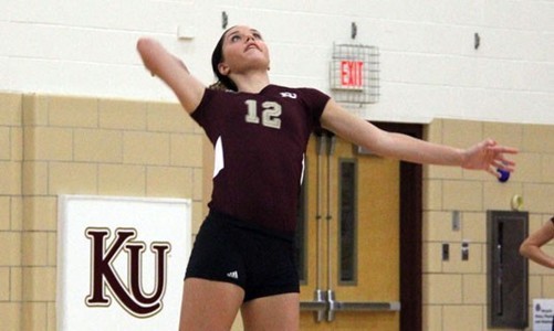 Audrey Stringer - 2015 - Women's Volleyball - Kutztown University Athletics
